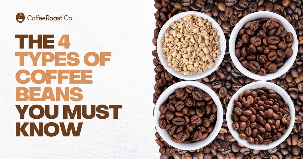 The 4 Types of Coffee Beans You Must Know for the Best Coffee Experien ...