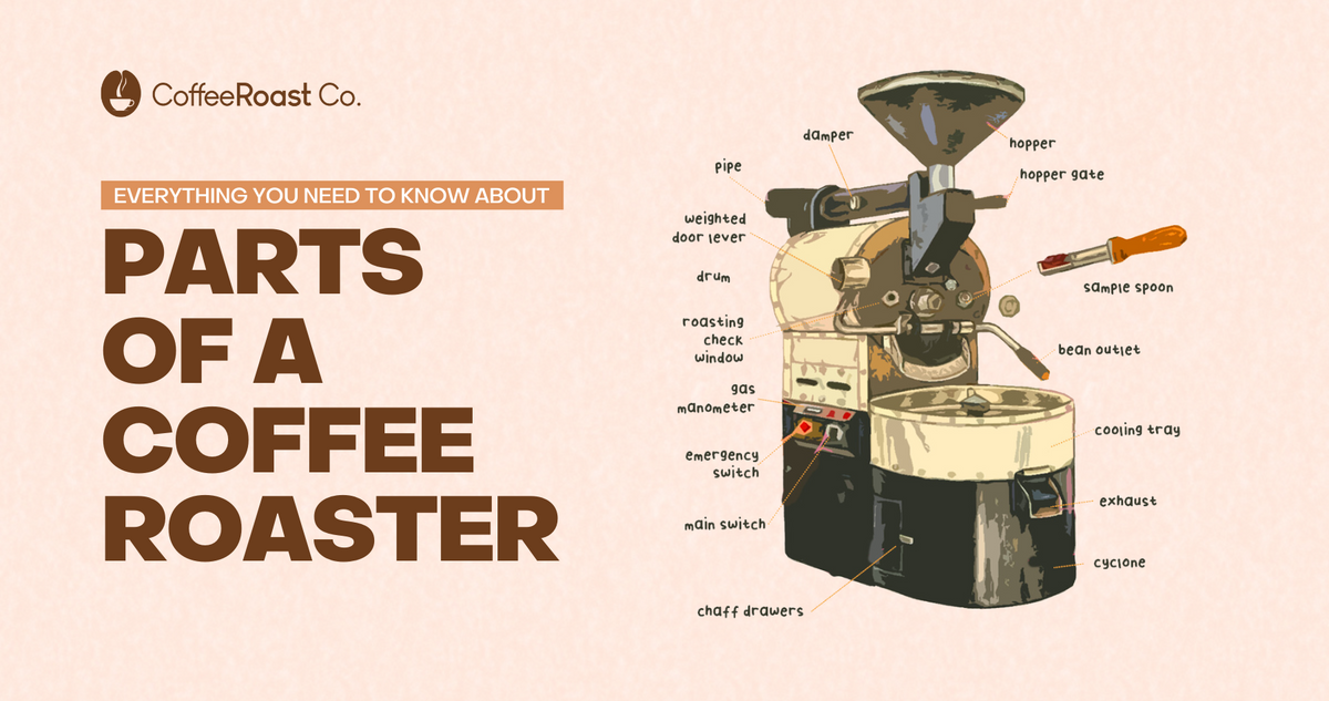 A Coffee Lover's Guide on How to Grind Coffee Beans for Espresso ...