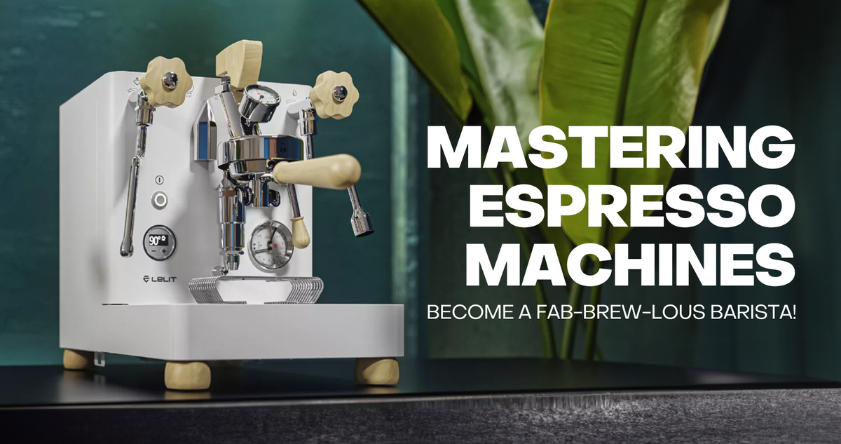 The Best Commercial Coffee Roasters of 2024 You Need to Know - CoffeeRoast Co.