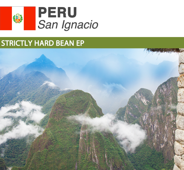 Peru Organic SHB EP | Green Coffee Boxes | Wholesale Origin ...