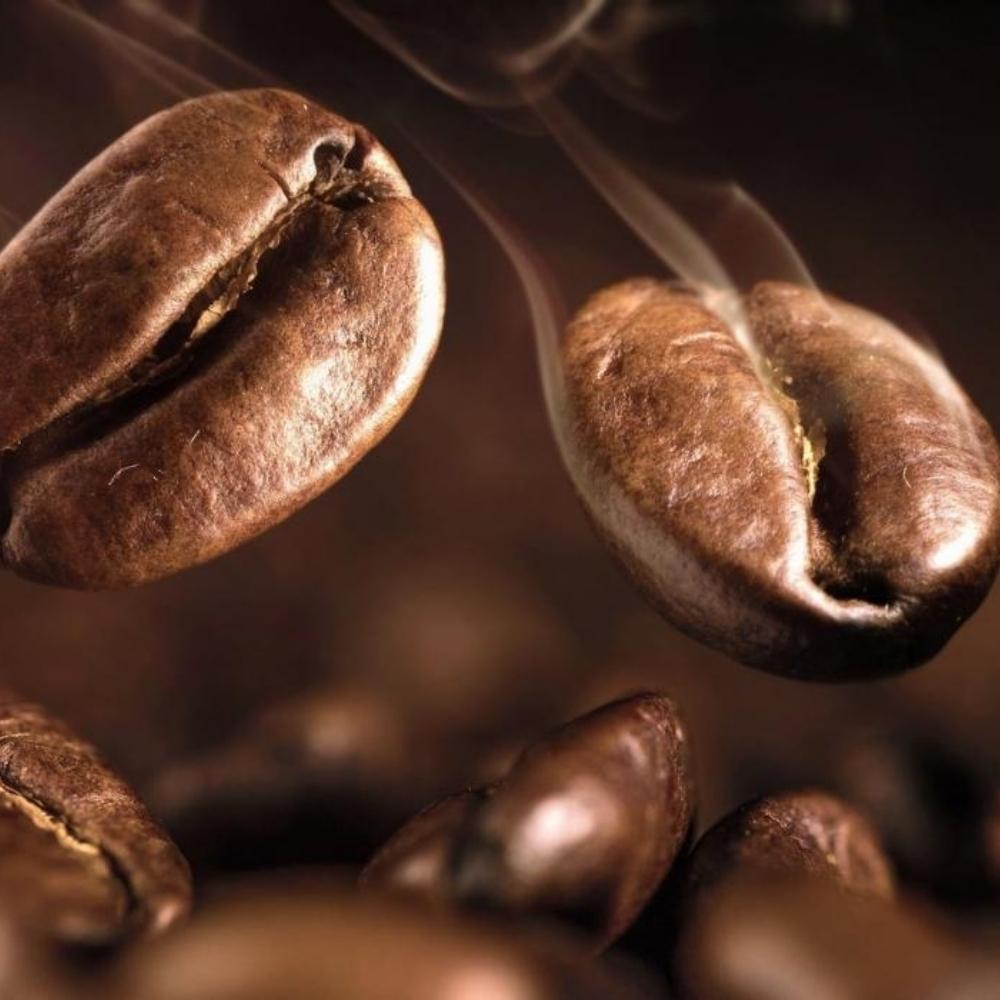 CoffeeRoast Co. | The Best Coffee Roasters & Coffee Roasting Equipment