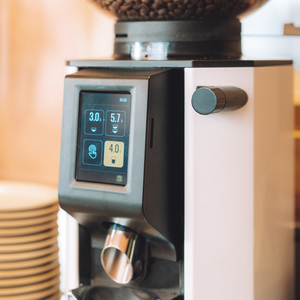Anfim Alba Coffee Grinder | CoffeeRoast Co.